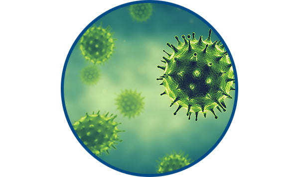 Resource Library - Immuno-LP20