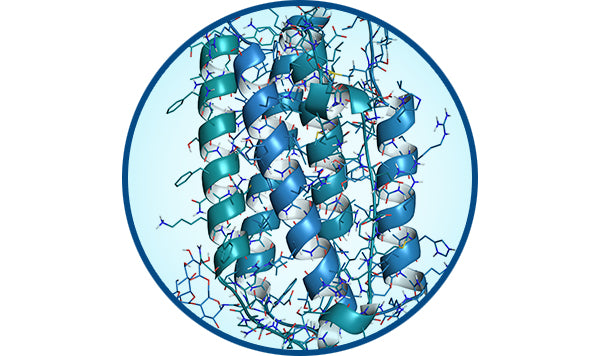Resource Library - Immuno-LP20